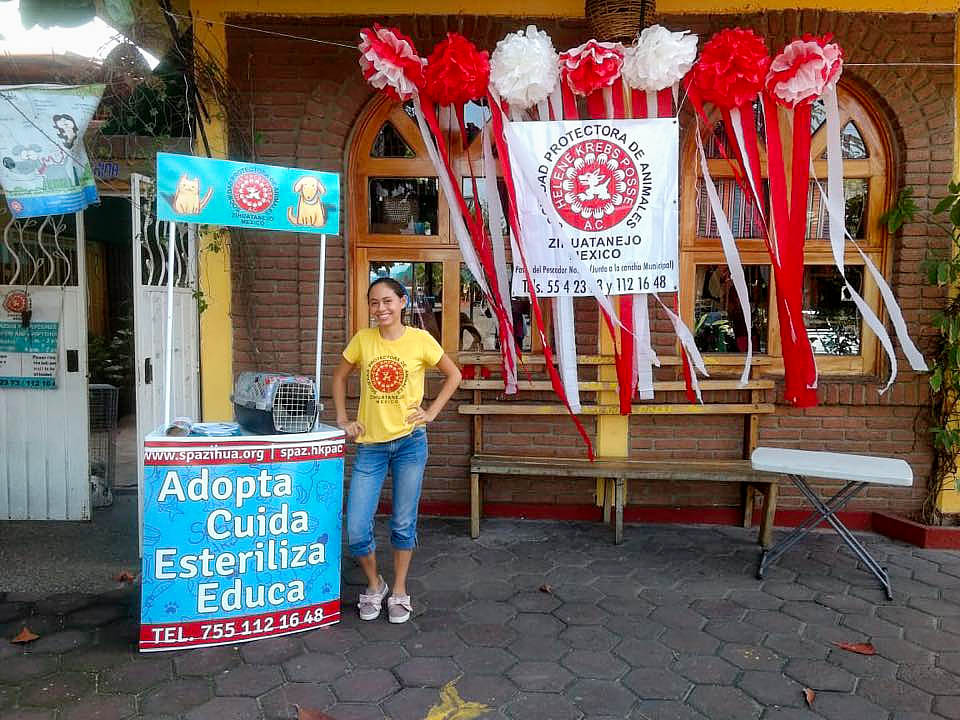Animal Humane Society of Zihuatanejo, Guerrero, Mexico
